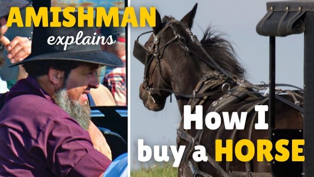 The Amish and home birth - Amish America