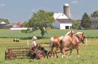 A First Visit To Amish Pennsylvania (23 Photos) - Amish America