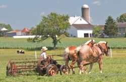 Visiting Kalona, Iowa: The Town & Amish Community (23 Photos) - Amish ...