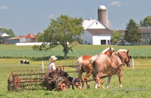 A First Visit To Amish Pennsylvania (23 Photos) - Amish America