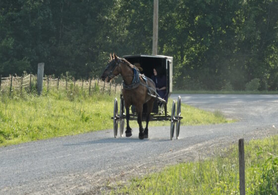 The Amish Population Has Grown Over 130% Since 2000: New Report - Amish ...