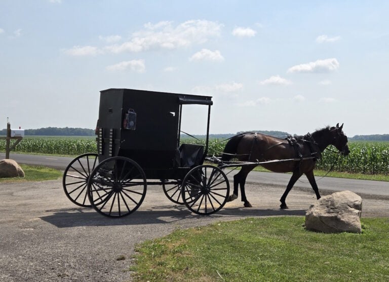 A Visit To One Of The Plainest Amish Communities (21 Photos) - Amish ...