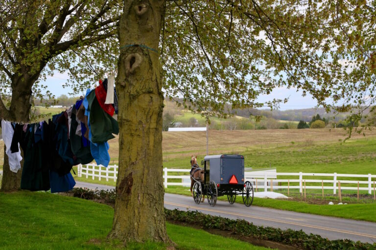 The Amish Population 2025: All 32 States Ranked Largest to Smallest ...