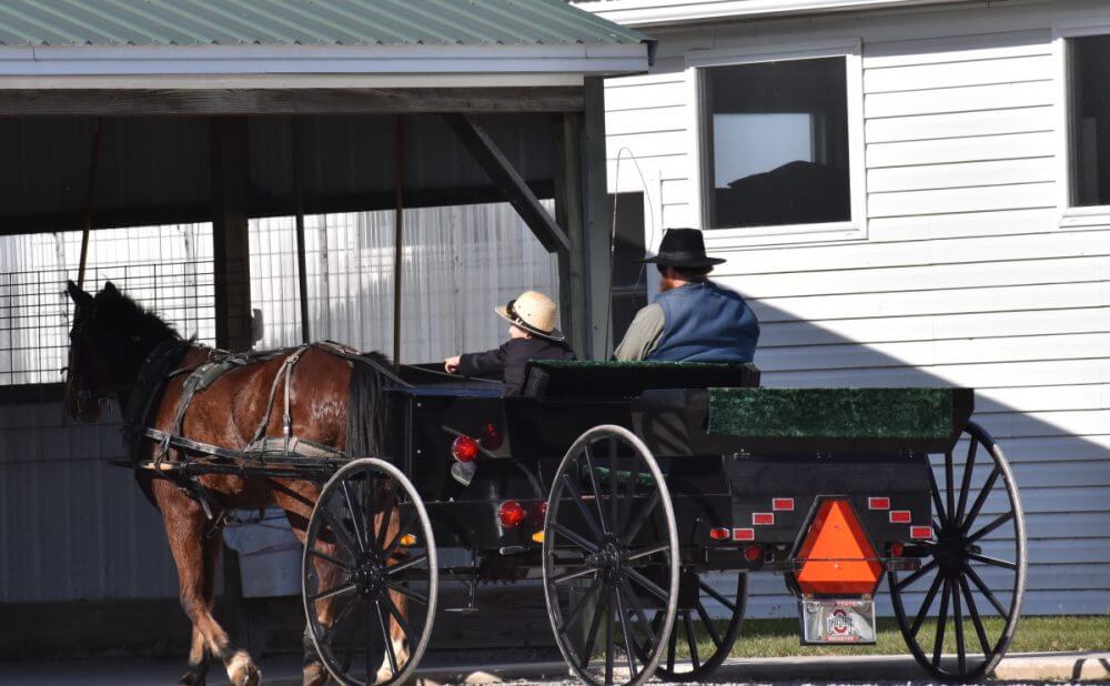 10 Views From the Berne, Indiana Amish Community - Amish America