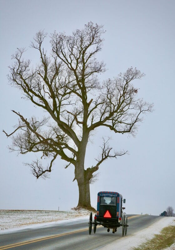 17 Striking Winter Photos That Show Amish Country at Its Most Beautiful ...