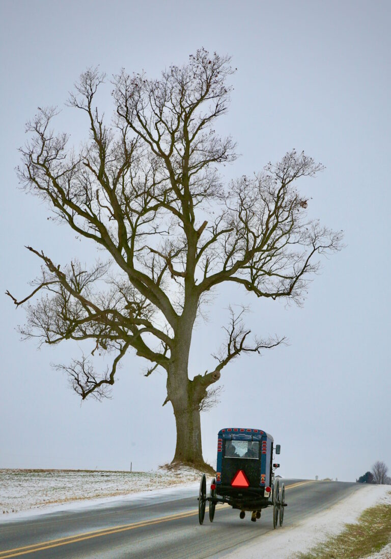 17 Striking Winter Photos That Show Amish Country at Its Most Beautiful ...