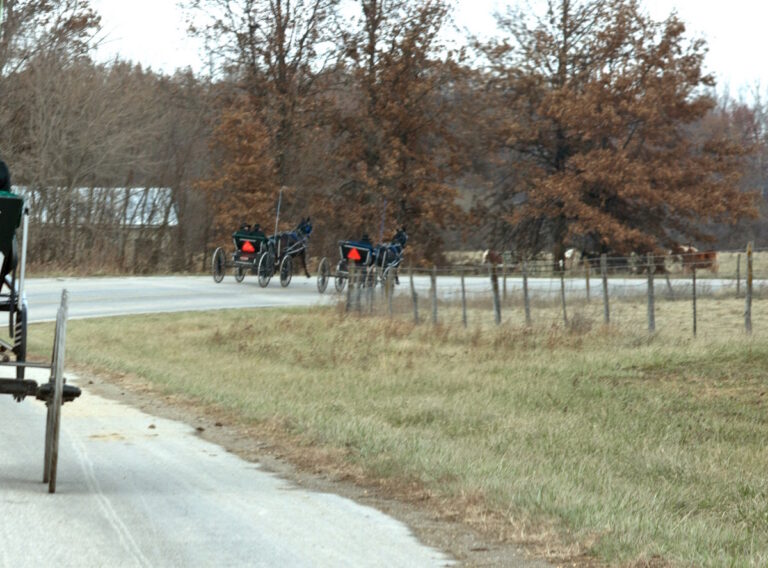 I Witnessed An Actual Amish Buggy Race (27 Photos) - Amish America