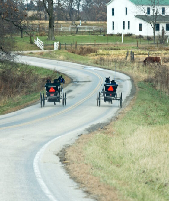I Witnessed An Actual Amish Buggy Race (27 Photos) - Amish America