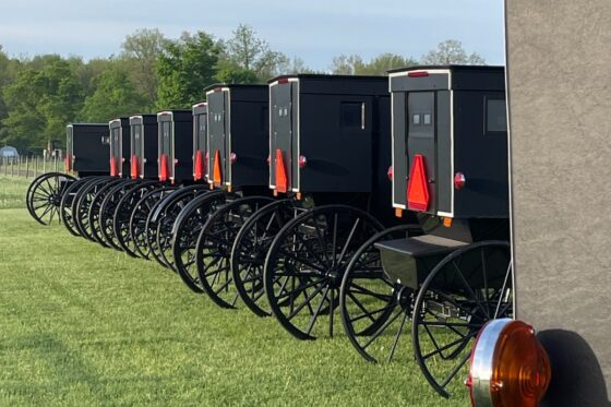Amish Communities: 32-State Guide - Amish America