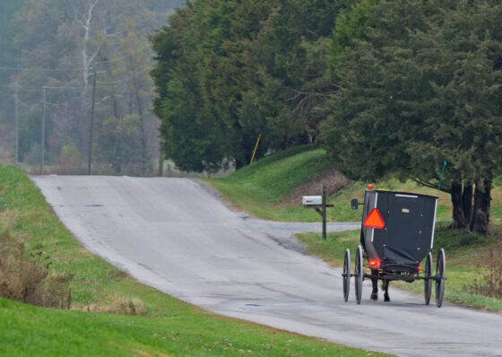 The Amish Population 2025: All 32 States Ranked Largest to Smallest ...