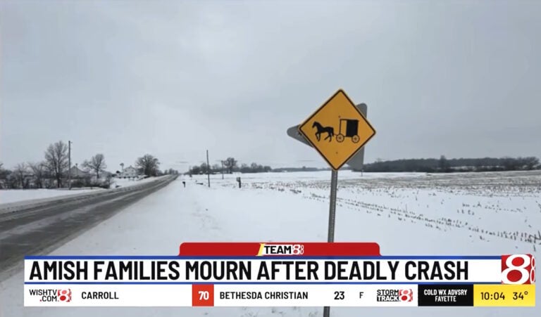 Semi Driver Taken Into ICE Custody in Fatal Crash That Killed Four ...