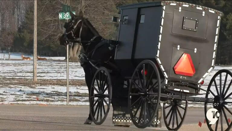 Two Amish Children Killed After Horse Allegedly “Bolts” In Front Of Car ...