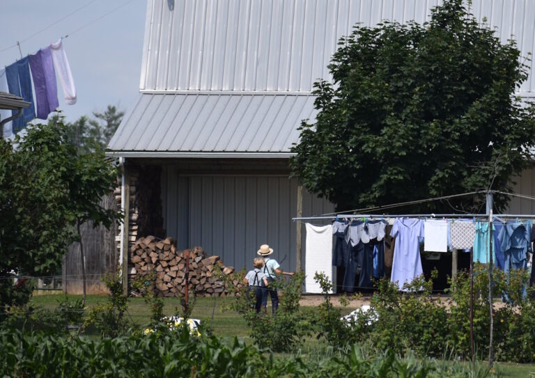 The Amish & Genetic Disorders (2 Causes) - Amish America