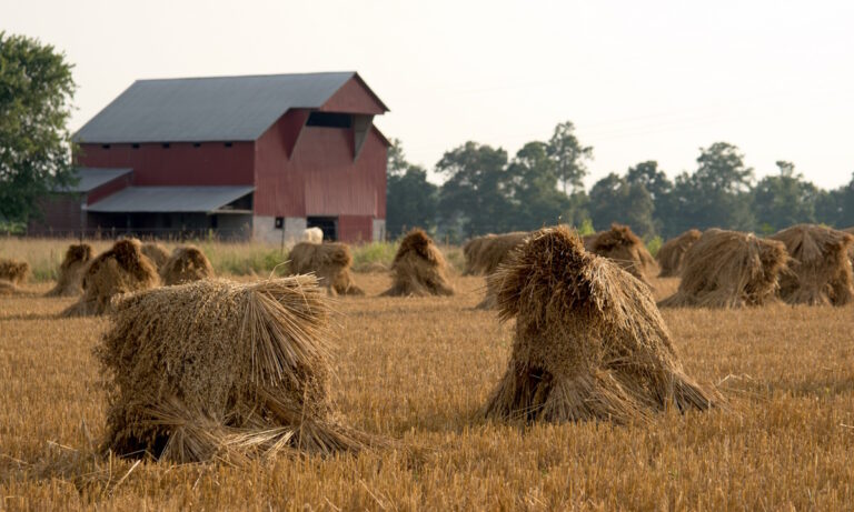 Tennessee Amish Country: 10 Things To Do in Ethridge - Amish America
