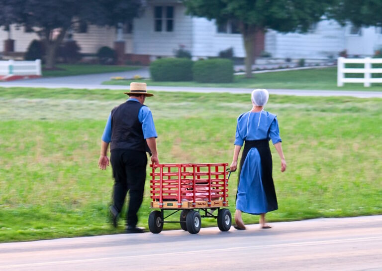 Amish Names: Common First Names & Surnames - Amish America