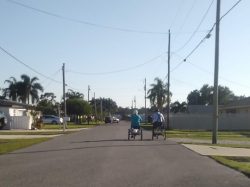 Florida Amish (Pinecraft Community Guide) - Amish America