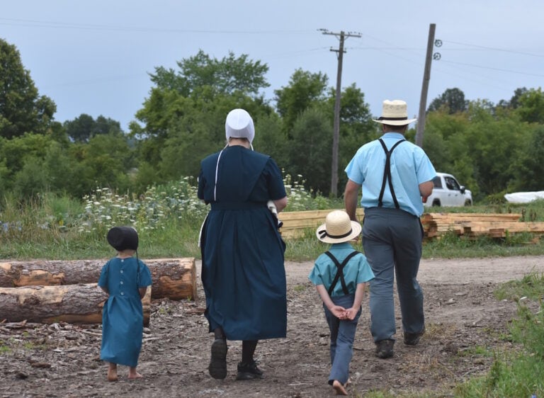 How Does Amish Health Care Work? Doctors, Alternative Medicine & More ...