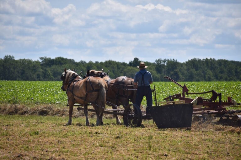 The Amish of Cass City, Michigan (14 Photos) - Amish America