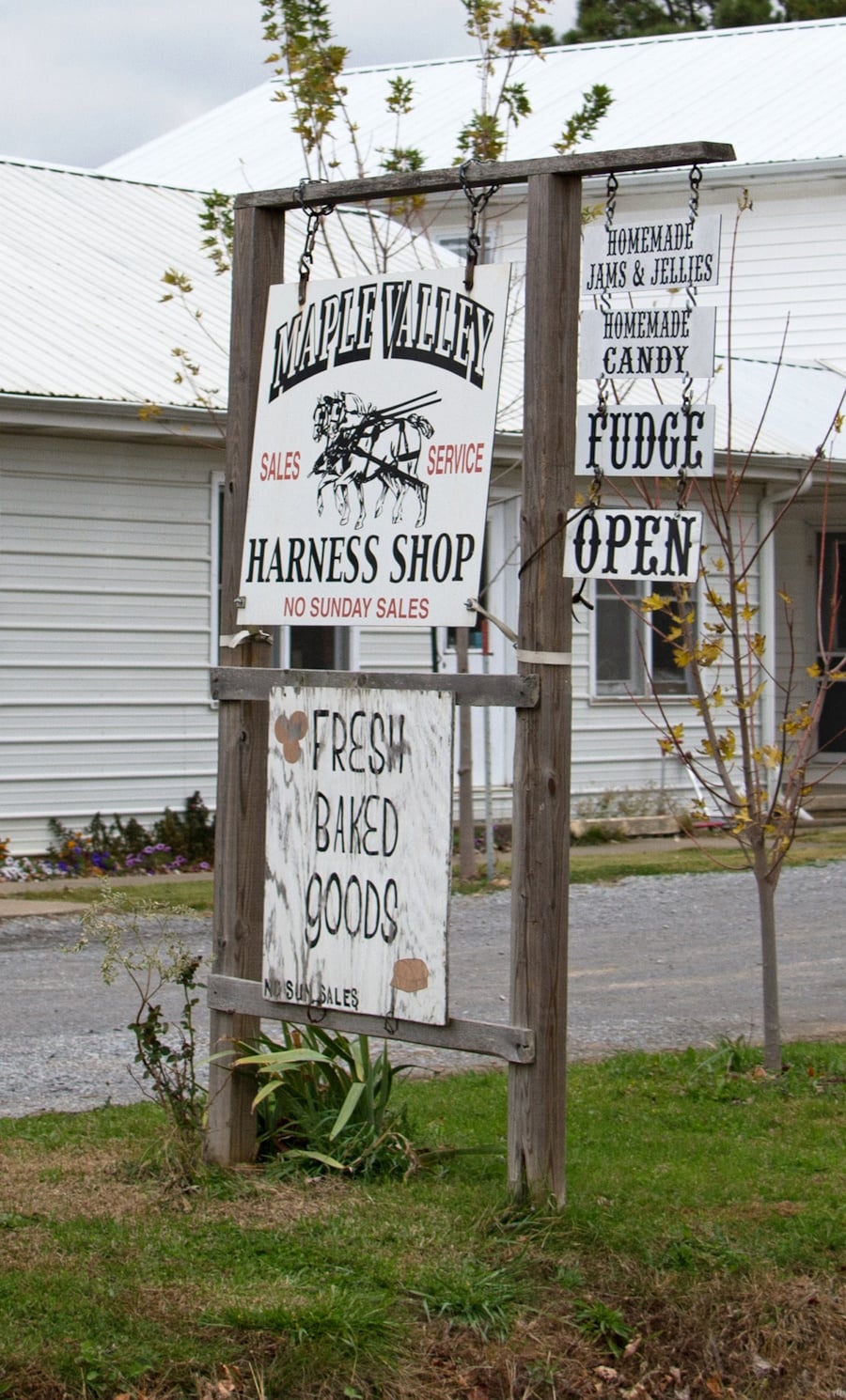 Autumn Images From An Amish Corner Of Kentucky (15 Photos) - Amish America