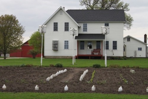 In the Kitchen with the Amish of Buchanan County, Iowa - Amish America