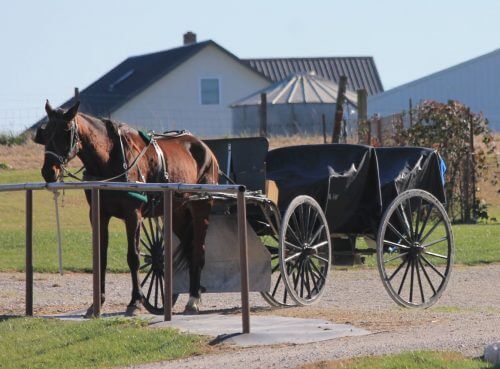 The Amish of Daviess County, Indiana (17 Photos) - Amish America