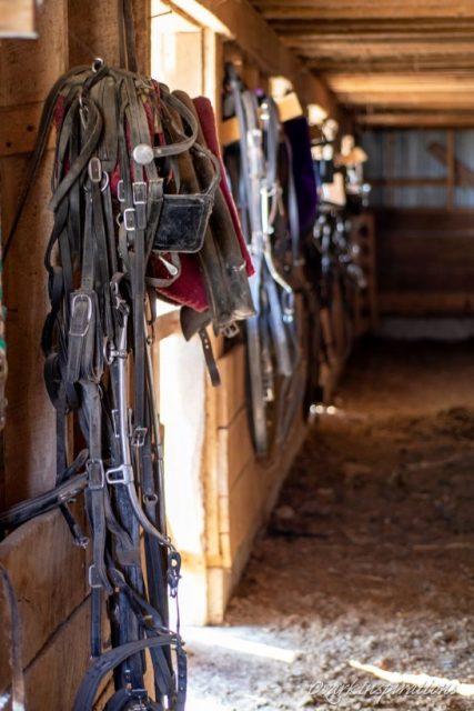 Stay On An Amish Homestead At “The Doddy House” - Amish America