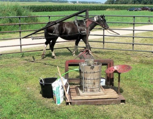 3 Things You Might Be Surprised To See At An Amish Auction - Amish America