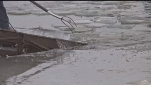Ice Cutting in Amish Iowa (9 Photos) - Amish America