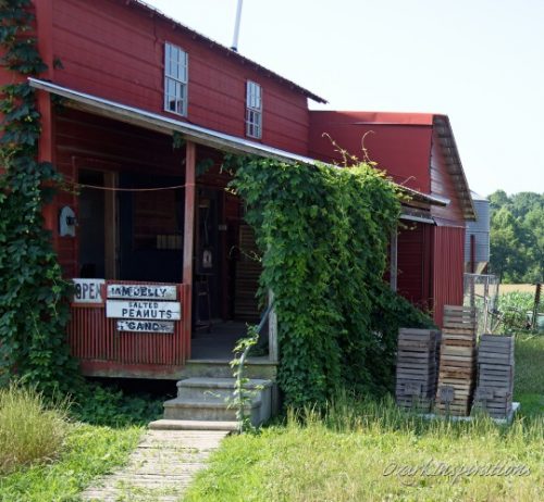A Visit to the Amish of Ethridge, Tennessee (29 Photos) - Amish America