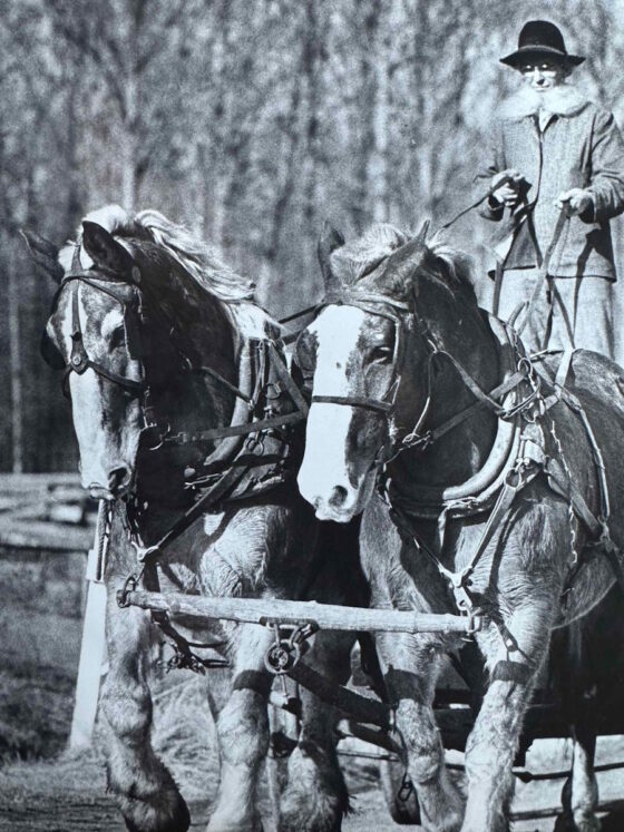 Vintage Black & White Images of Amish Life (22 Photos) - Amish America