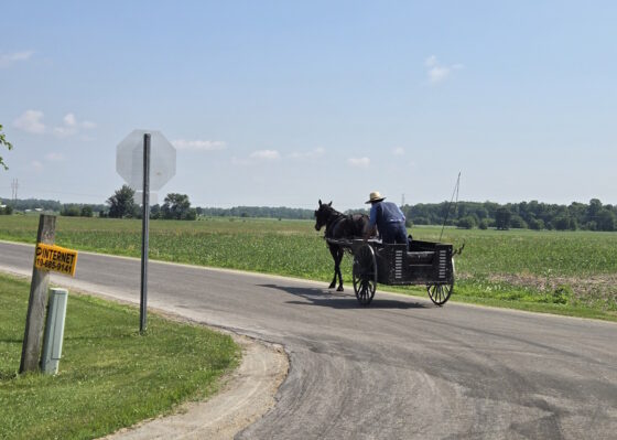 A Visit To One Of The Plainest Amish Communities (21 Photos) - Amish ...