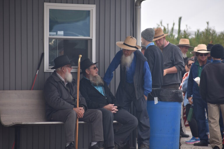 Indiana Amish Auction Scenes: Part Two (12 Photos) - Amish America