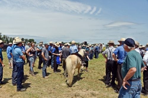 The Milverton, Ontario Amish School Auction - Amish America