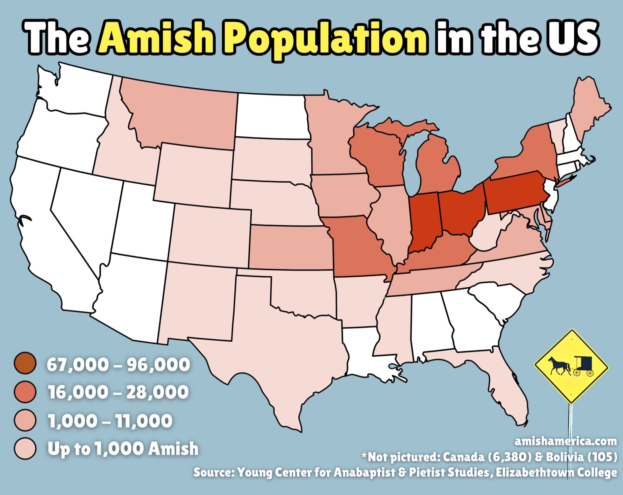 How Does Amish Health Care Work? Doctors, Alternative Medicine & More ...