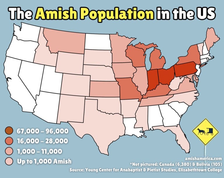 How Does Amish Health Care Work? Doctors, Alternative Medicine & More ...