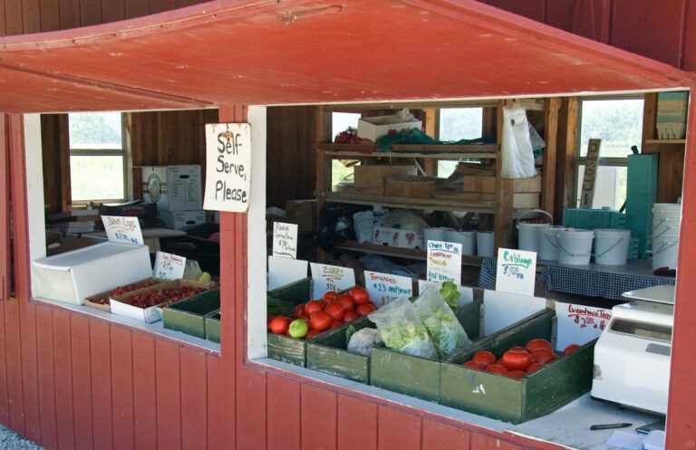 A Visit To An Amish Produce Stand & (Nearly) Year-Round Greenhouse – 23 ...