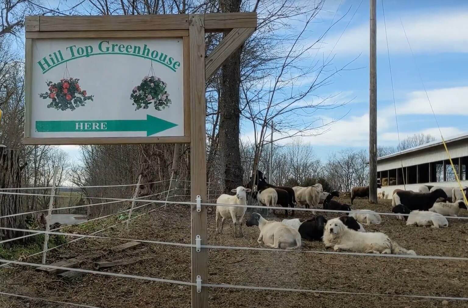 10 Views From Kentucky Amish Communities - Amish America