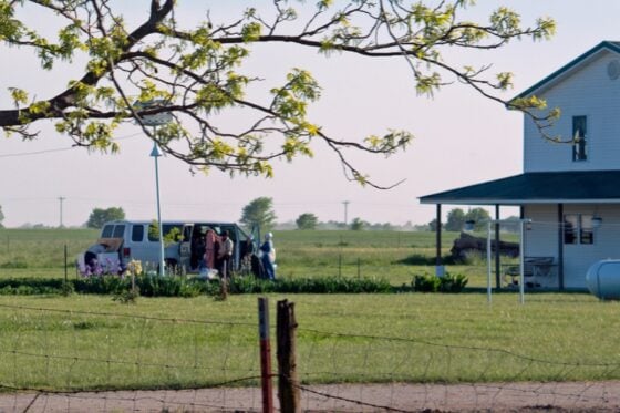 The Amish & Cars (6 Surprising Facts) - Amish America