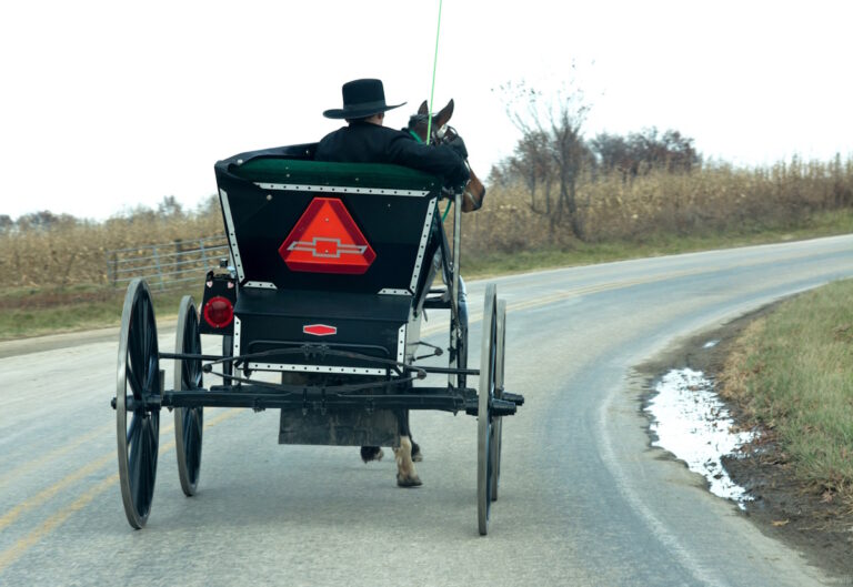 I Witnessed An Actual Amish Buggy Race (27 Photos) - Amish America
