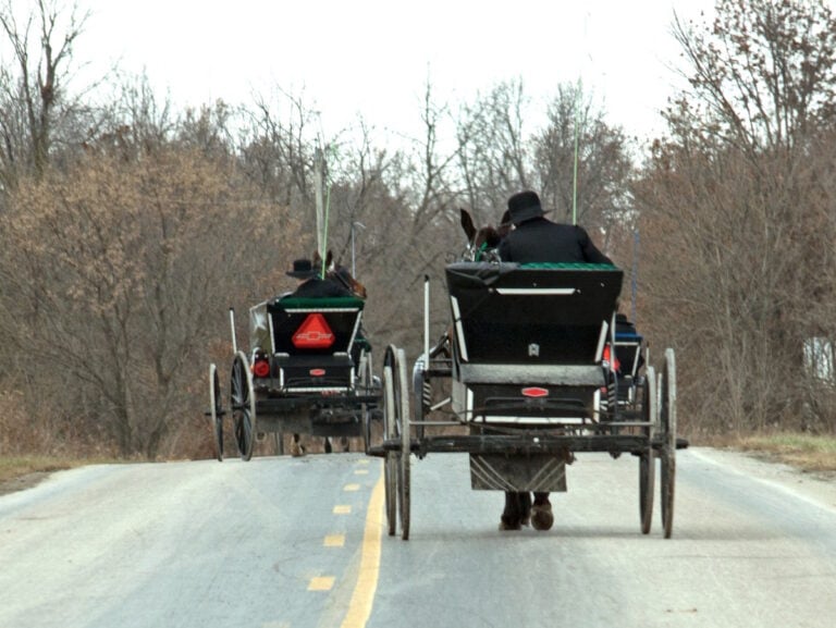 I Witnessed An Actual Amish Buggy Race (27 Photos) - Amish America