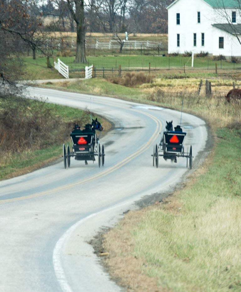 I Witnessed An Actual Amish Buggy Race (27 Photos) - Amish America