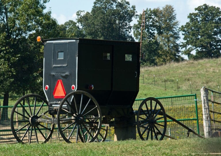 The Amish Population 2025: All 32 States Ranked Largest to Smallest ...