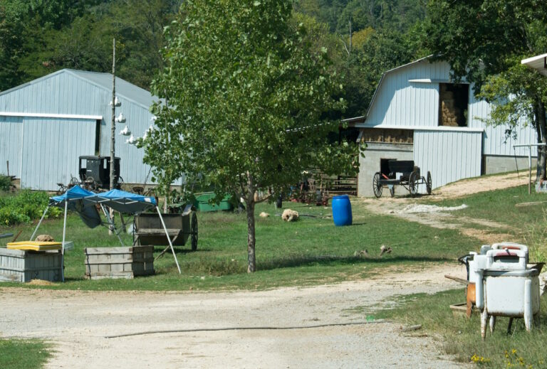 The Amish in Arkansas: 2024 Guide (3 Communities) - Amish America
