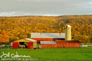 Bill Coleman’s Amish Autumn (15 Photos) - Amish America
