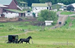 Visiting Kalona, Iowa: The Town & Amish Community (23 Photos) - Amish ...