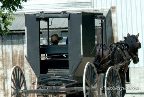A Visit to the Amish of Ethridge, Tennessee (29 Photos) - Amish America