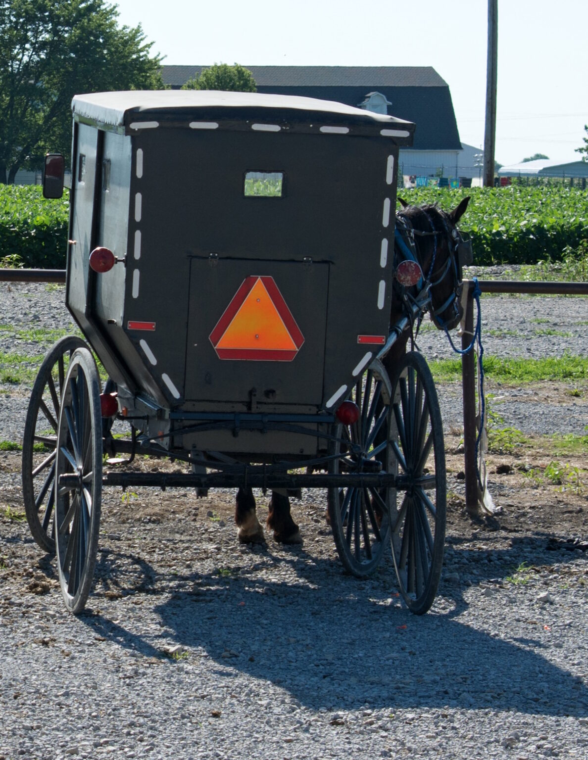 A Visit To An Amish Produce Stand & (Nearly) Year-Round Greenhouse – 23 ...