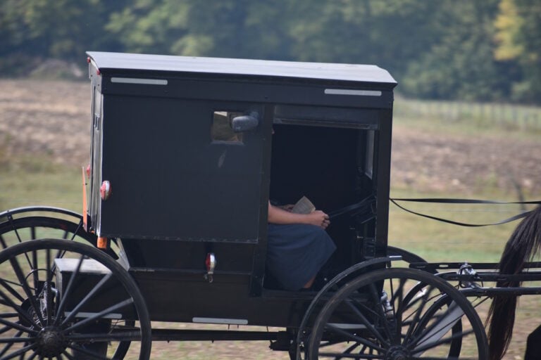 Indiana Amish Auction Scenes: Part Two (12 Photos) - Amish America