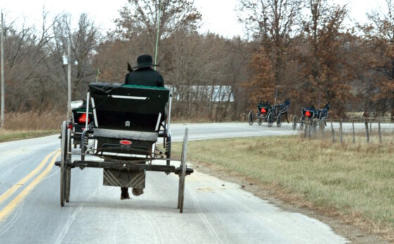 I Witnessed An Actual Amish Buggy Race (27 Photos) - Amish America