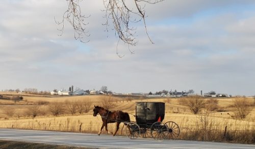Visiting Kalona, Iowa: The Town & Amish Community (23 Photos) - Amish ...